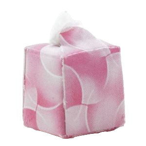 Box of Tissues – The Little Doll House
